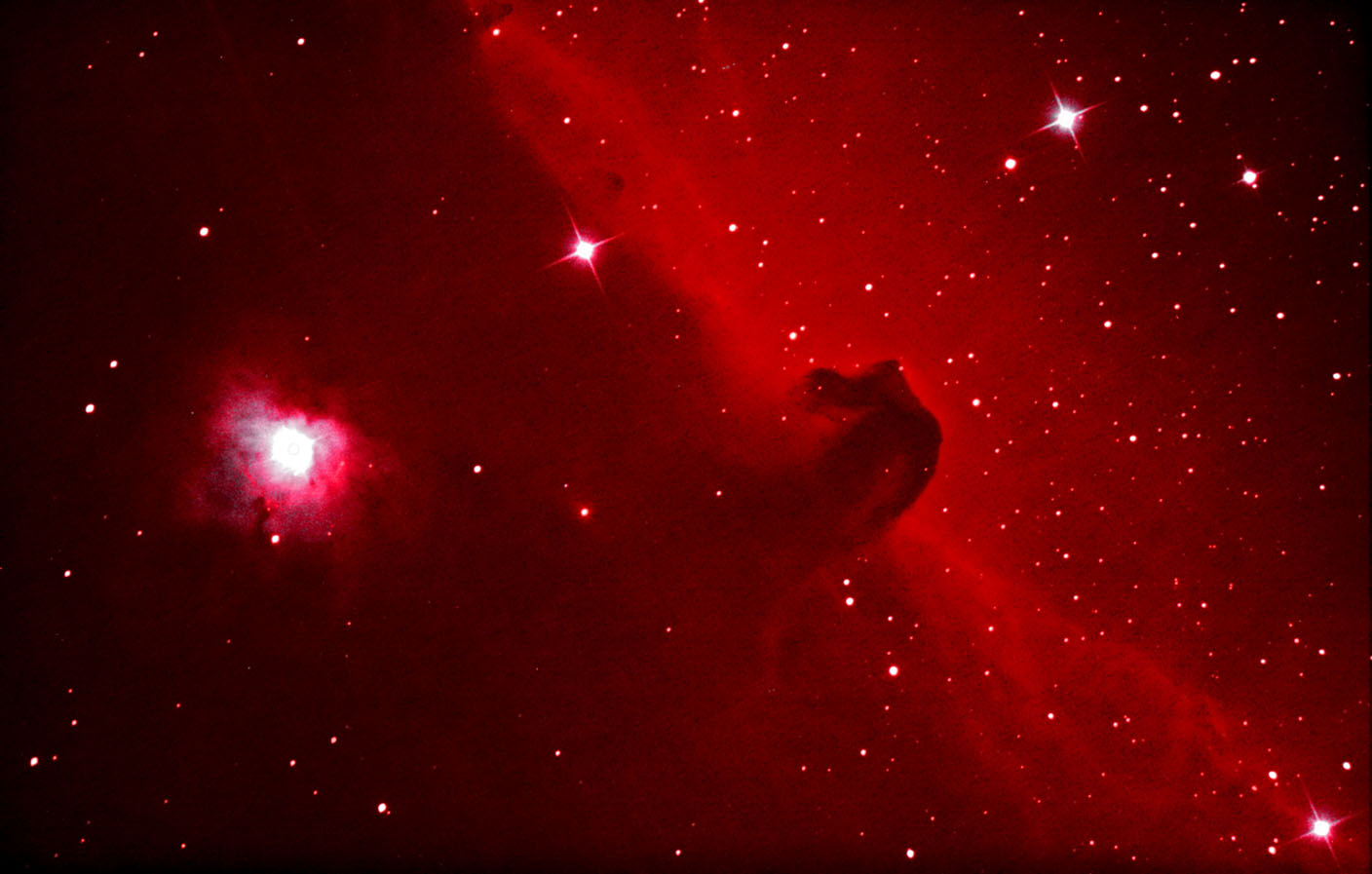 Large Square Picture Horsehead Nebula
